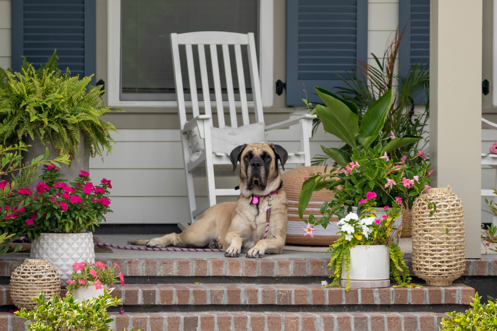 Nexton | South Carolina Planned Community | SC Coastal