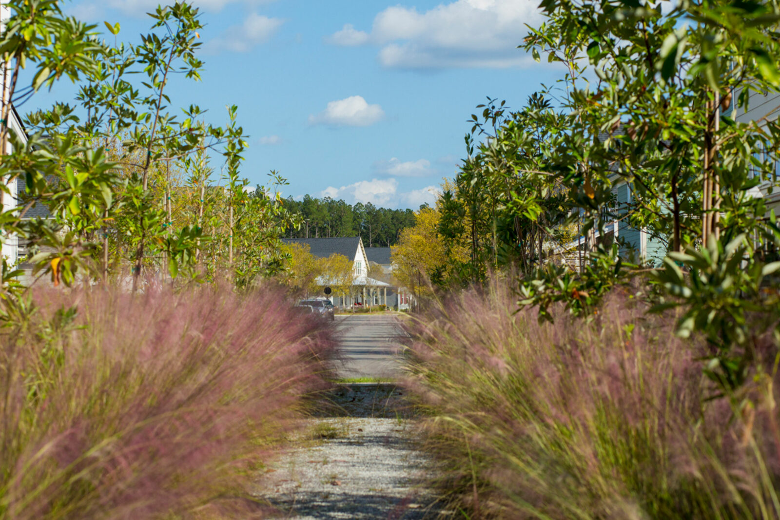 Nexton | South Carolina Planned Community | SC Coastal