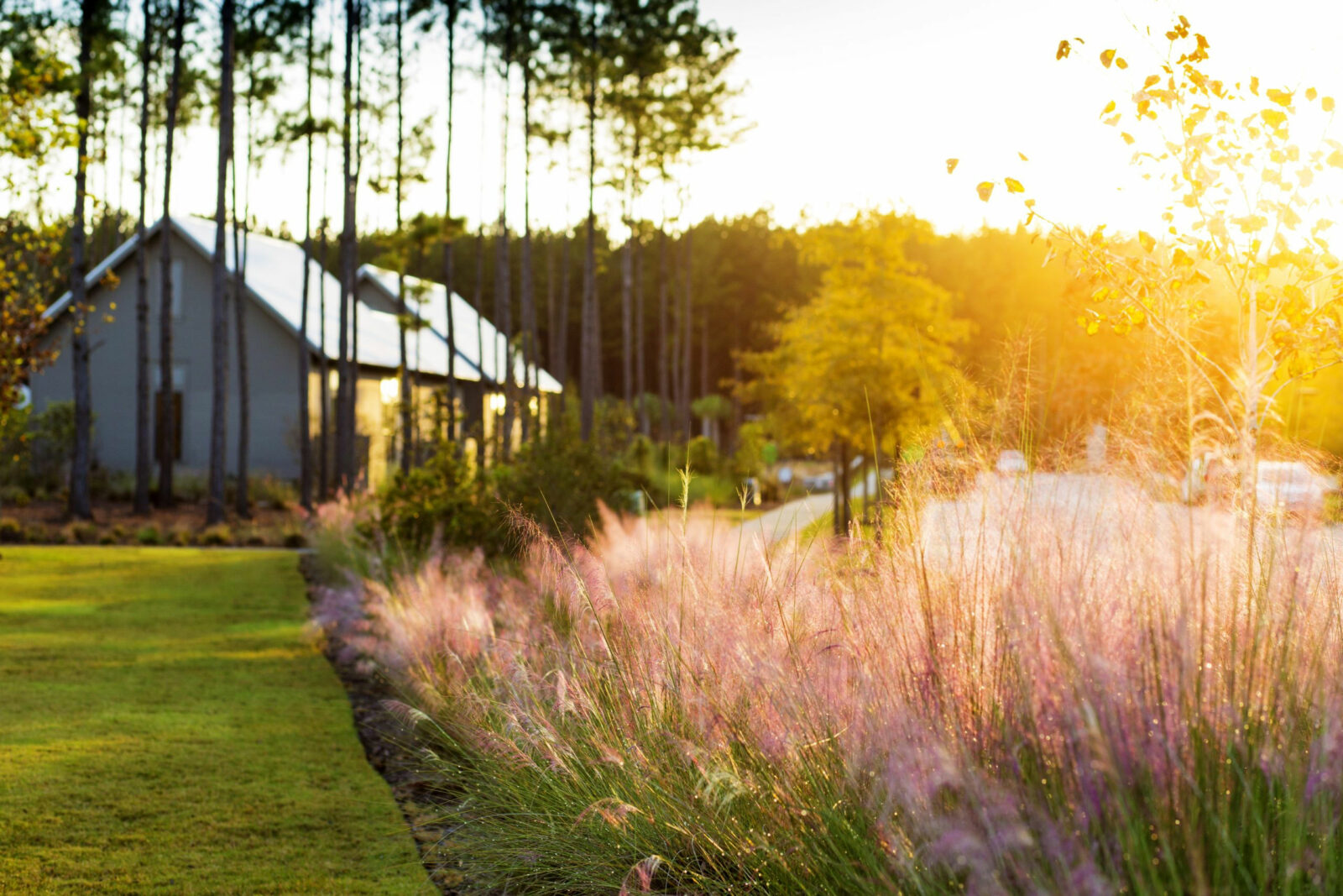 Nexton | South Carolina Planned Community | SC Coastal