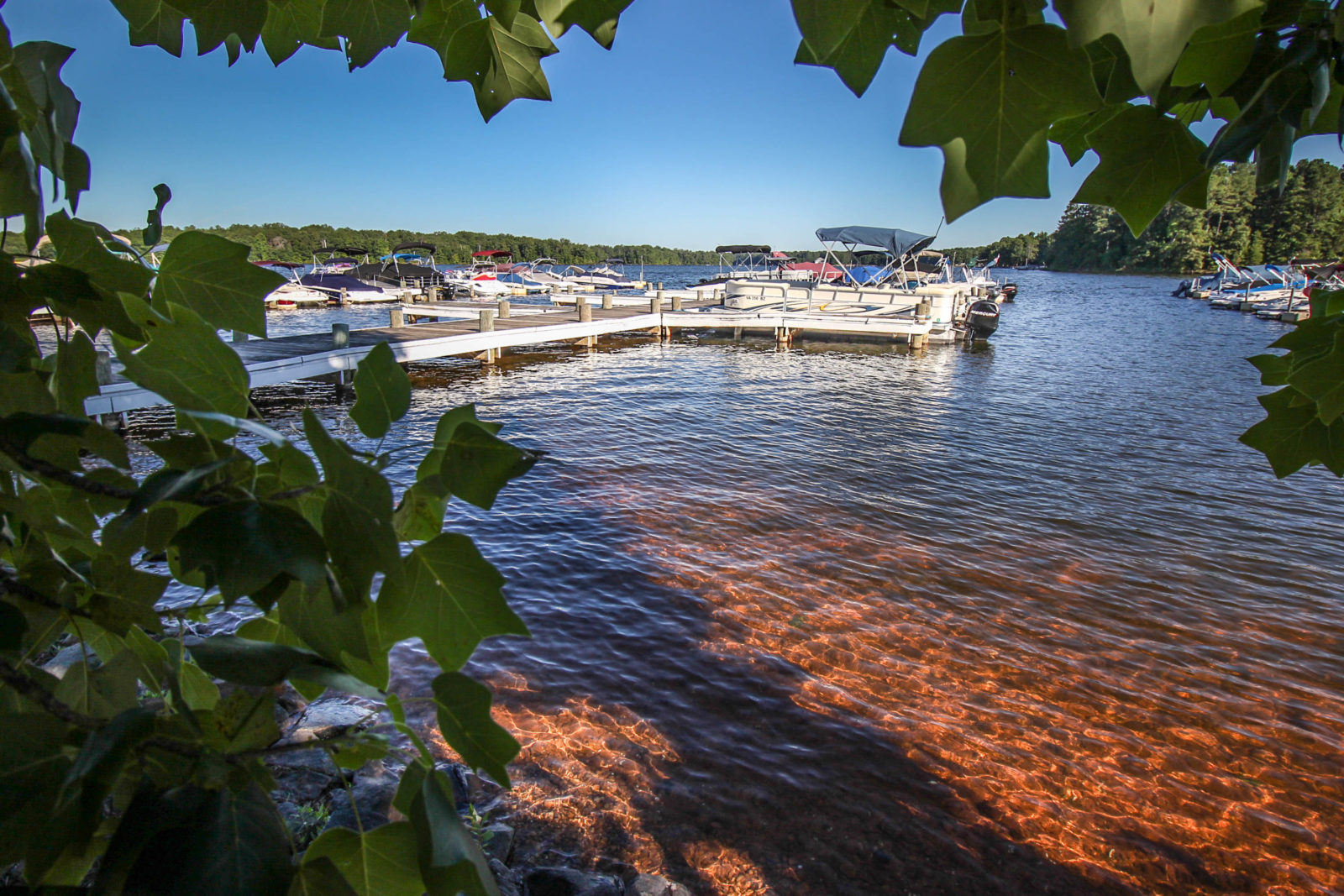 Fawn Lake | Virginia Retirement Communities | VA Gated Communities