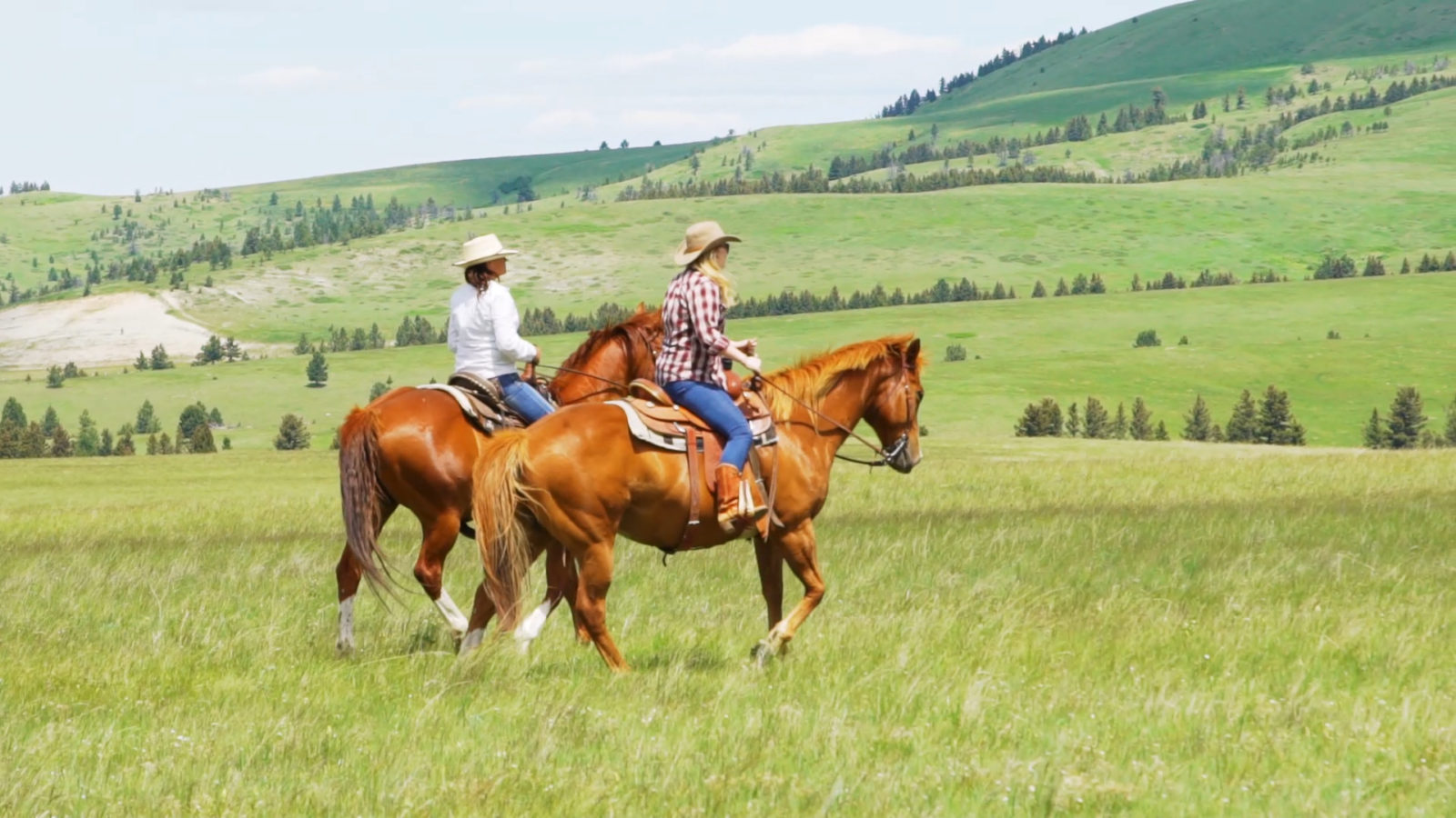 The Ranches at Belt Creek | Big Sky Country | Montana