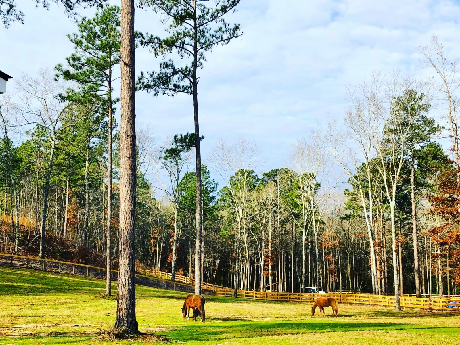 Anderson Farms | ideal-LIVING