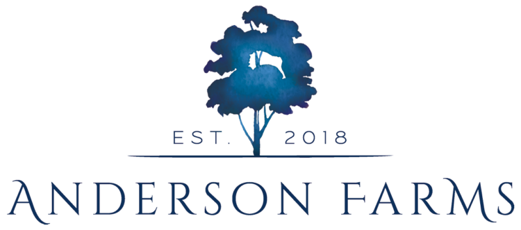 Equestrian Community Aiken SC | Anderson Farms