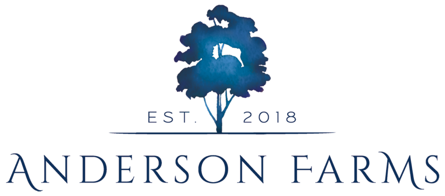 Equestrian Community Aiken SC | Anderson Farms