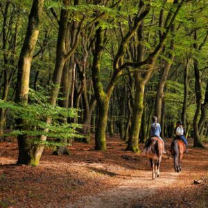 Anderson Farms | ideal-LIVING